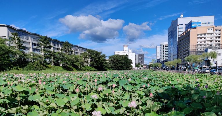 CIAA2024 – 28th International Conference on Implementation and Application of Automata